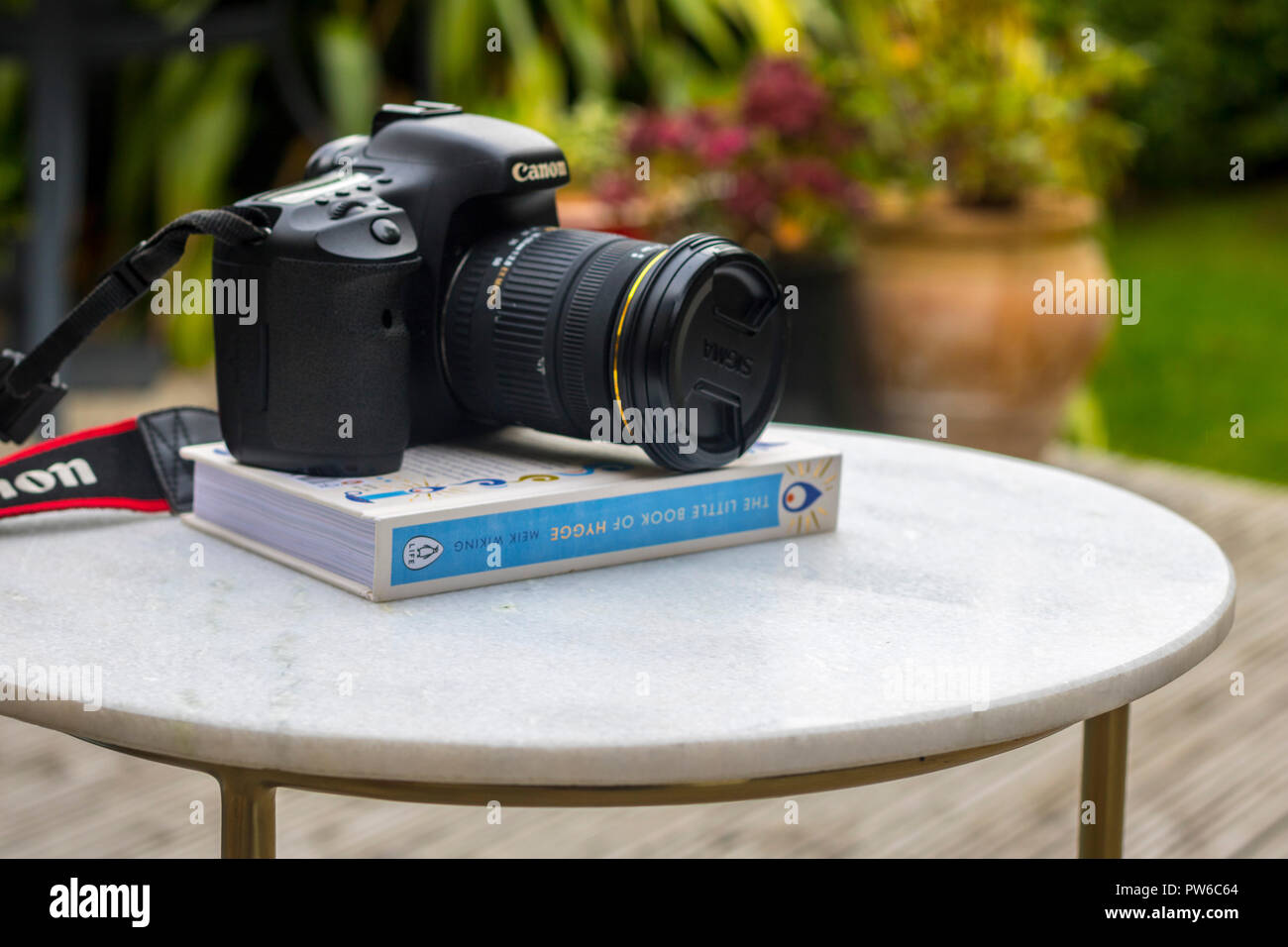 Canon Camera SLR mock-up blanket garden outdoors, photography concept ...