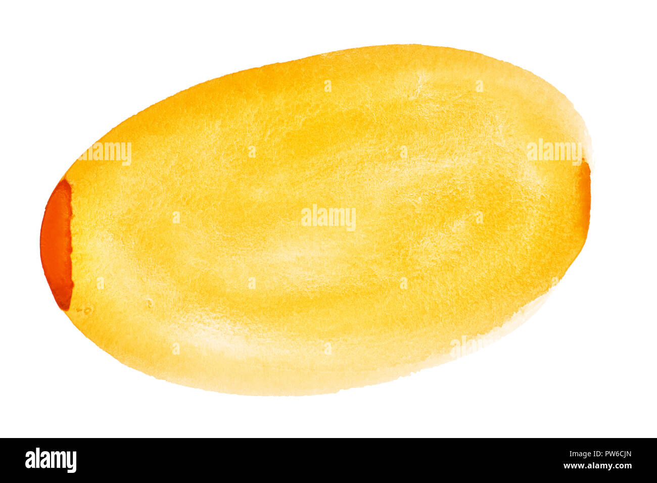 Orange hand drawn warercolor oval, may be used as background Stock ...