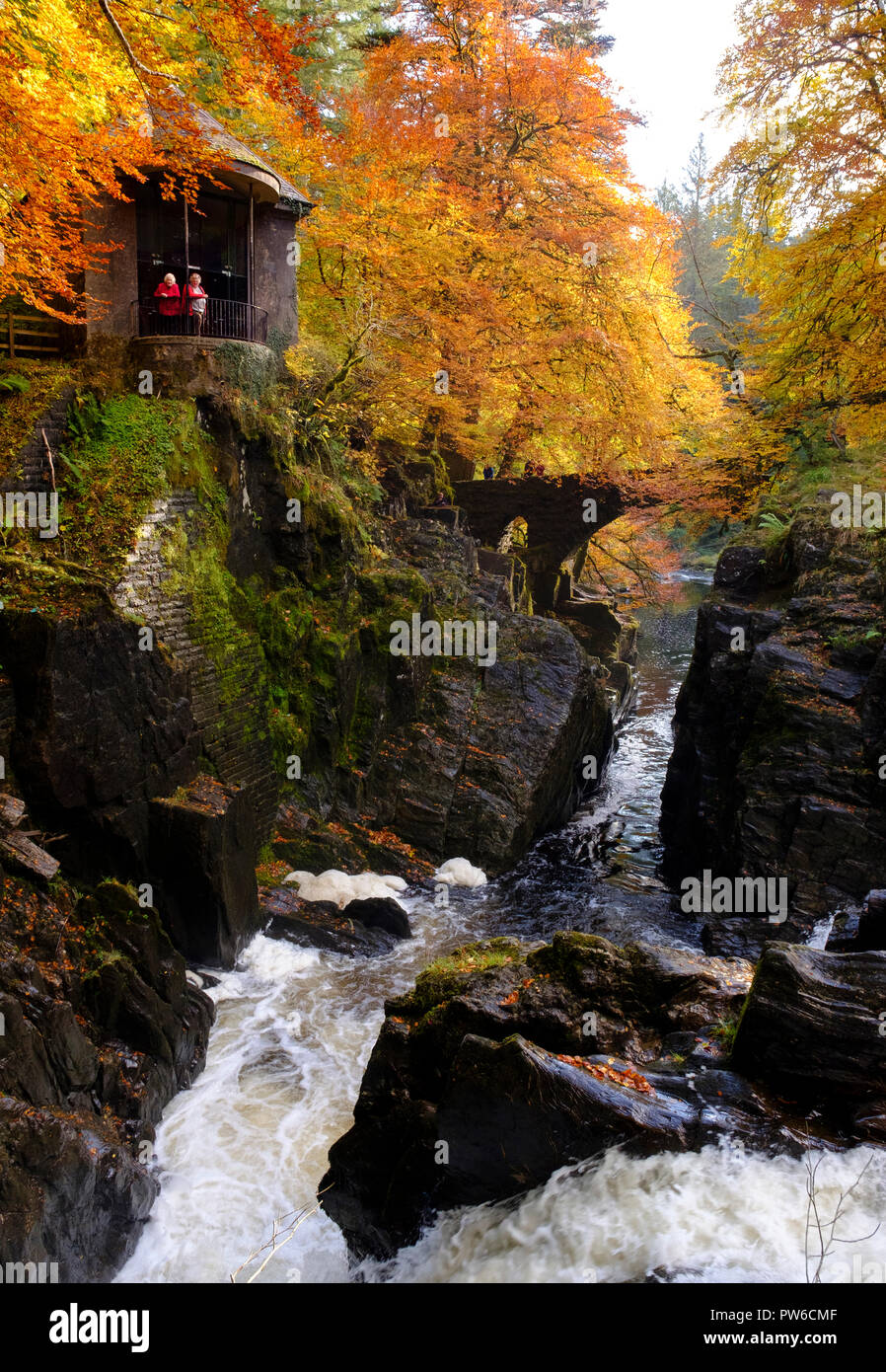 Autumn view of Ossian’s Hall overlooking cascade of Black Linn Falls on ...