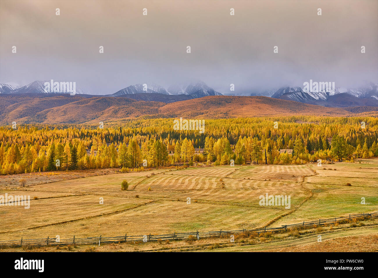 Beauty of nature concept hi-res stock photography and images - Alamy