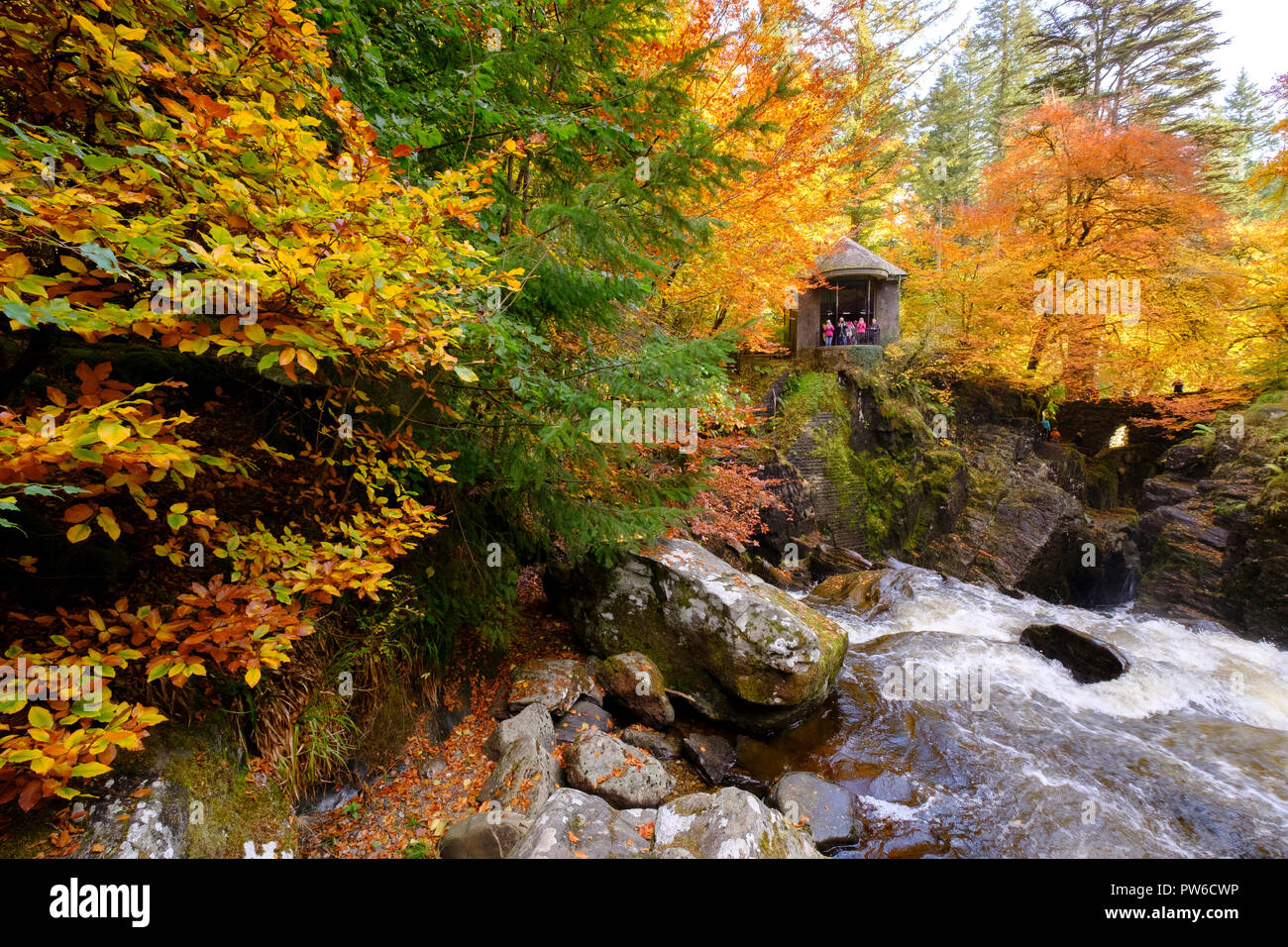 Autumn view of Ossian’s Hall overlooking cascade of Black Linn Falls on ...