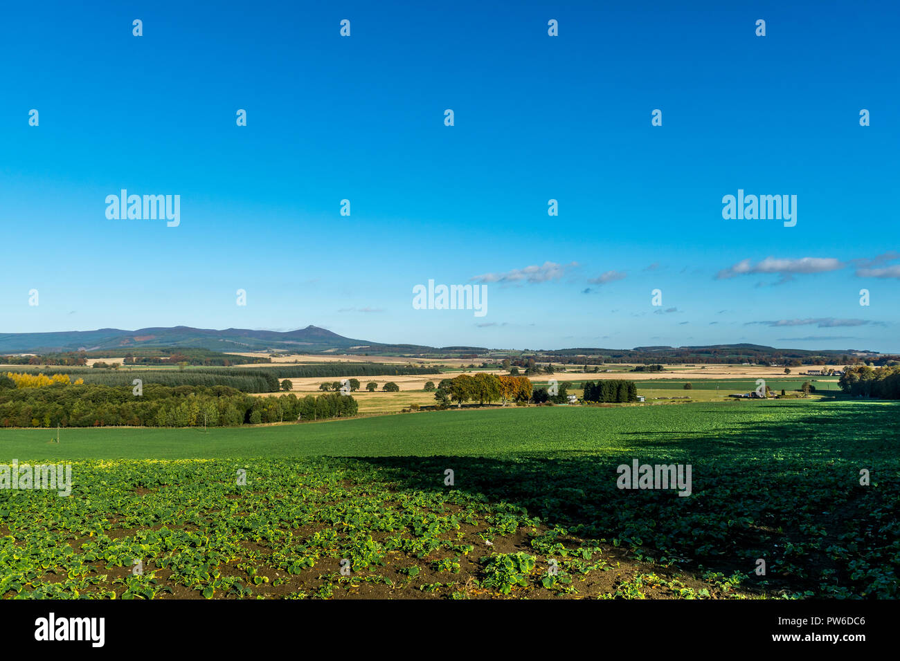 View across Aberdeenshire countryside to Bennachie Stock Photo - Alamy