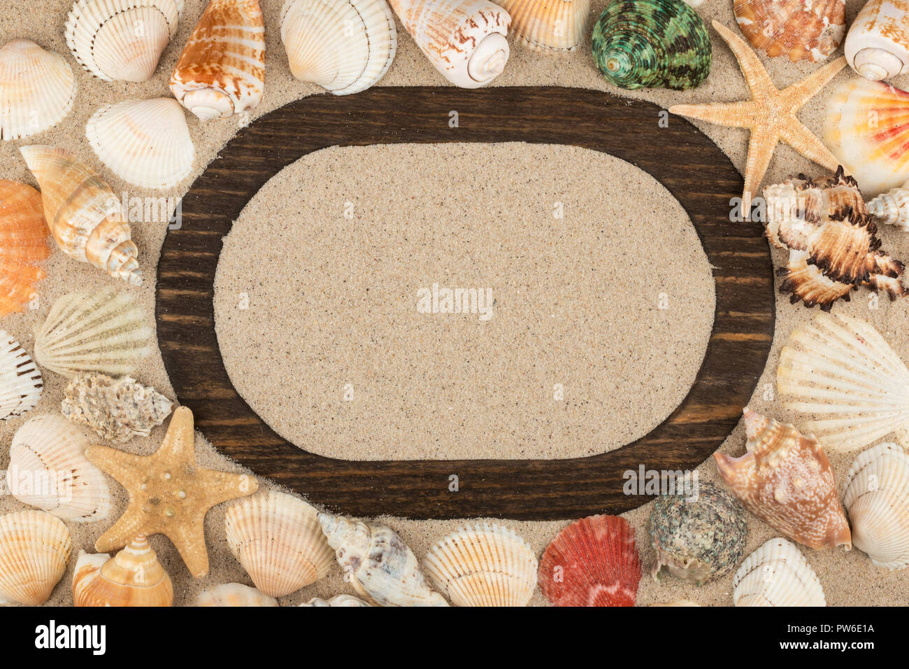 Empty frame of dark wood, seashells and starfishes in the sand. With ...