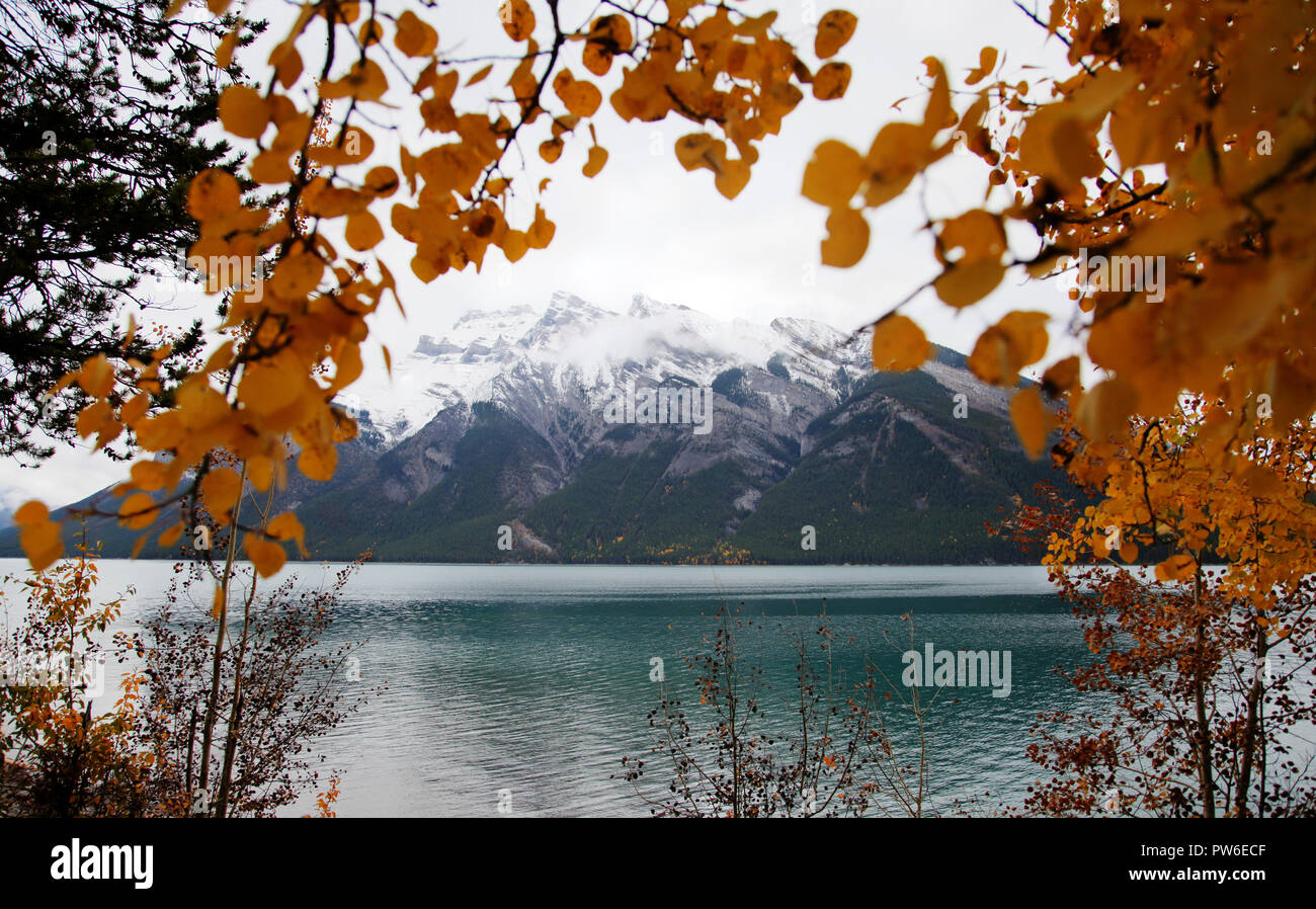 Banff fall colours hi-res stock photography and images - Alamy