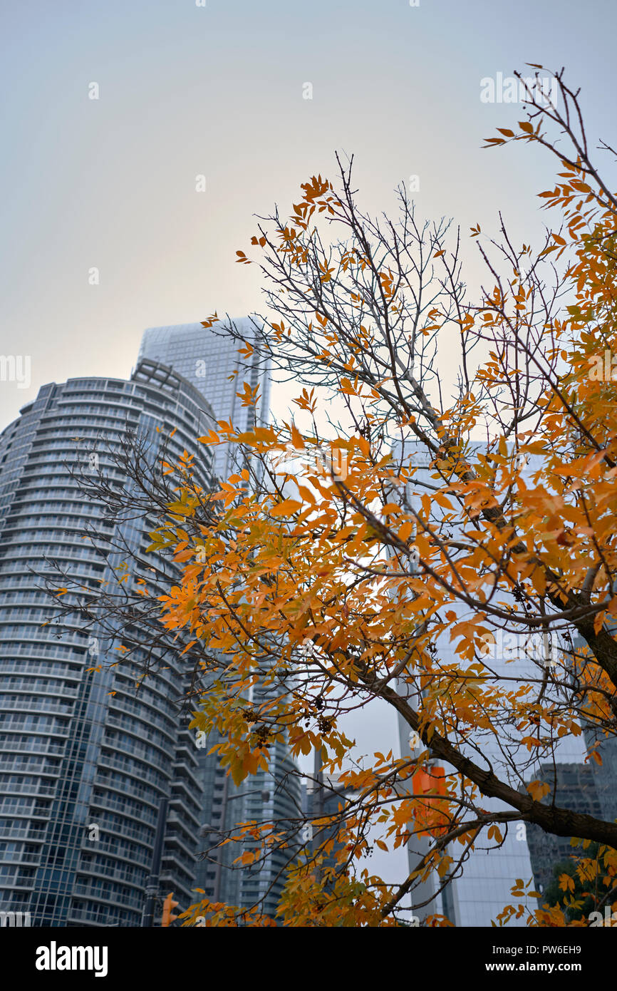 Look from below skyscrapers hi-res stock photography and images - Alamy