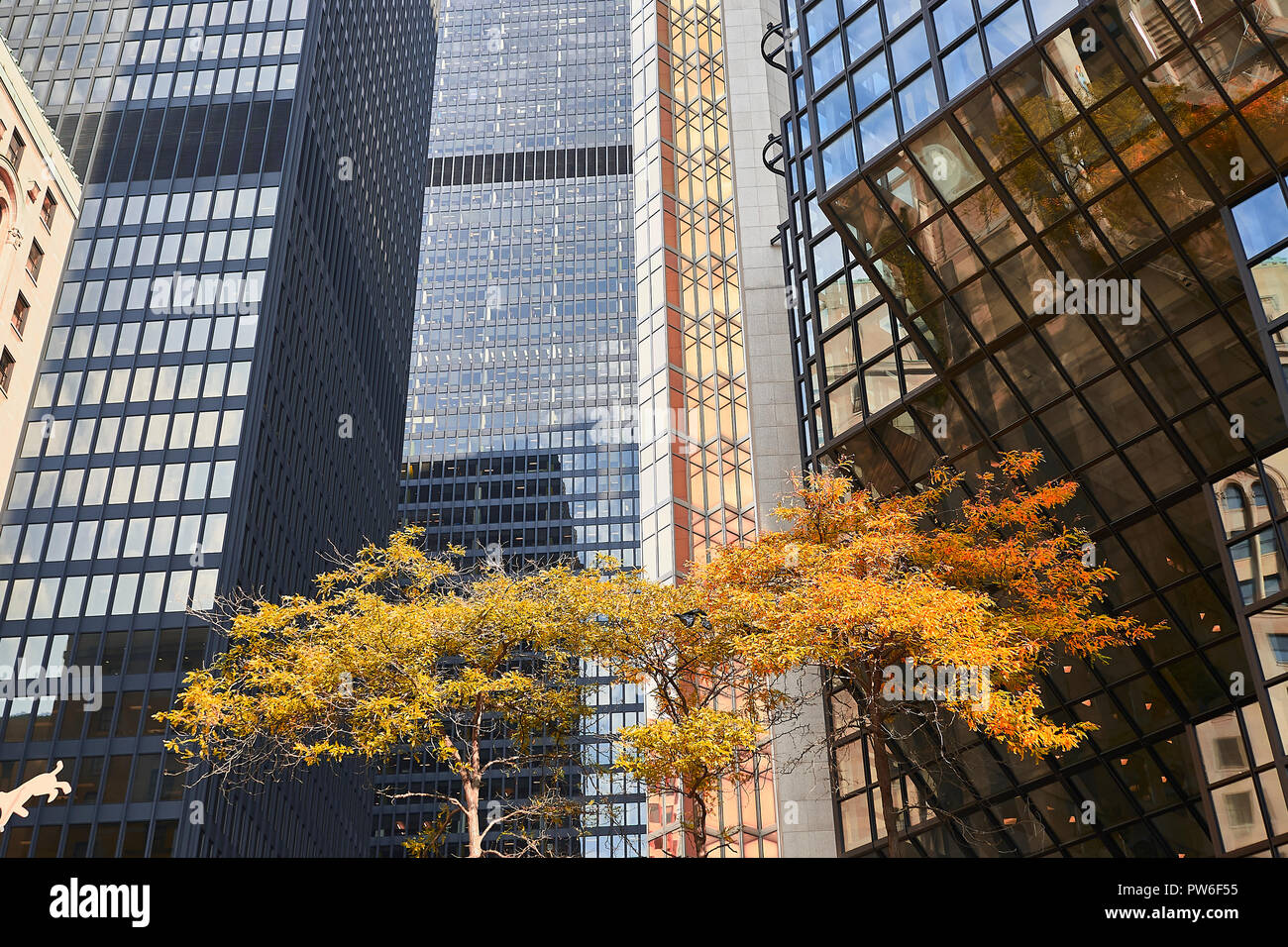 skyscraper from below Stock Photo - Alamy