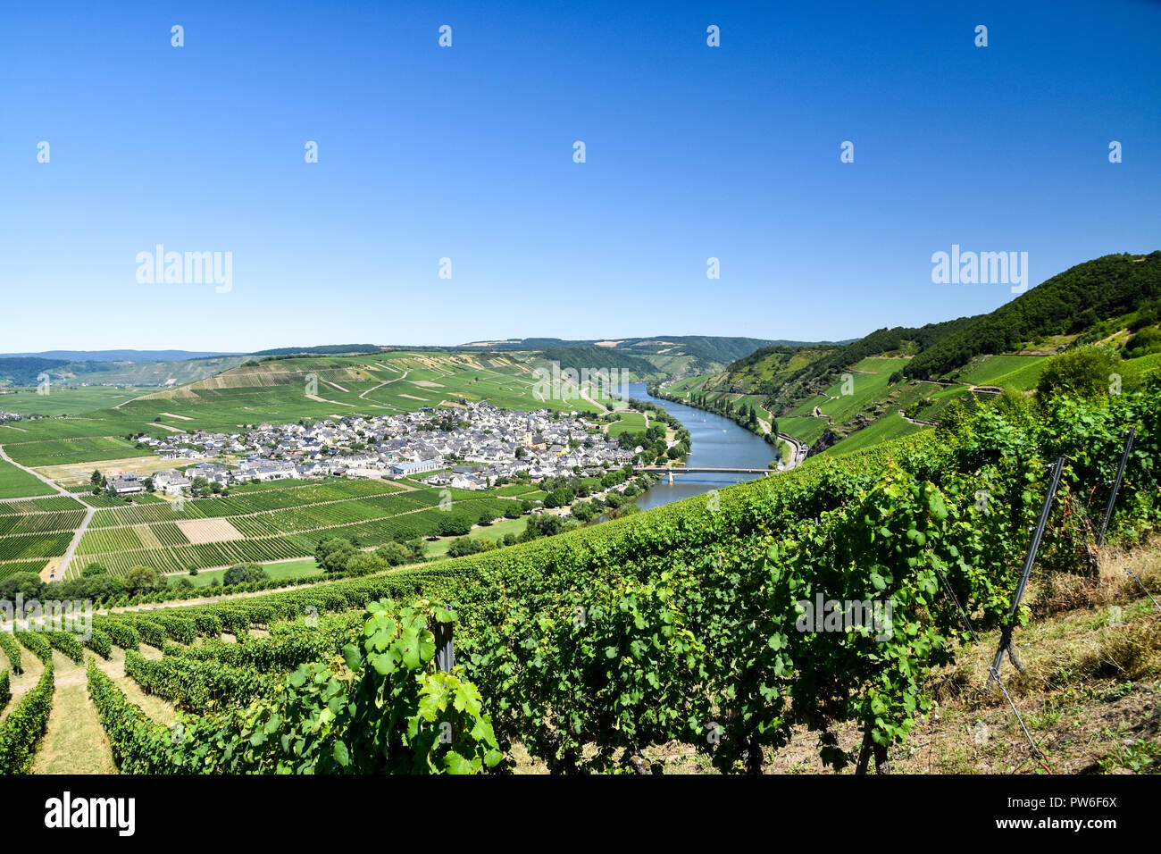 Leiwen village on the Moselle Stock Photo - Alamy
