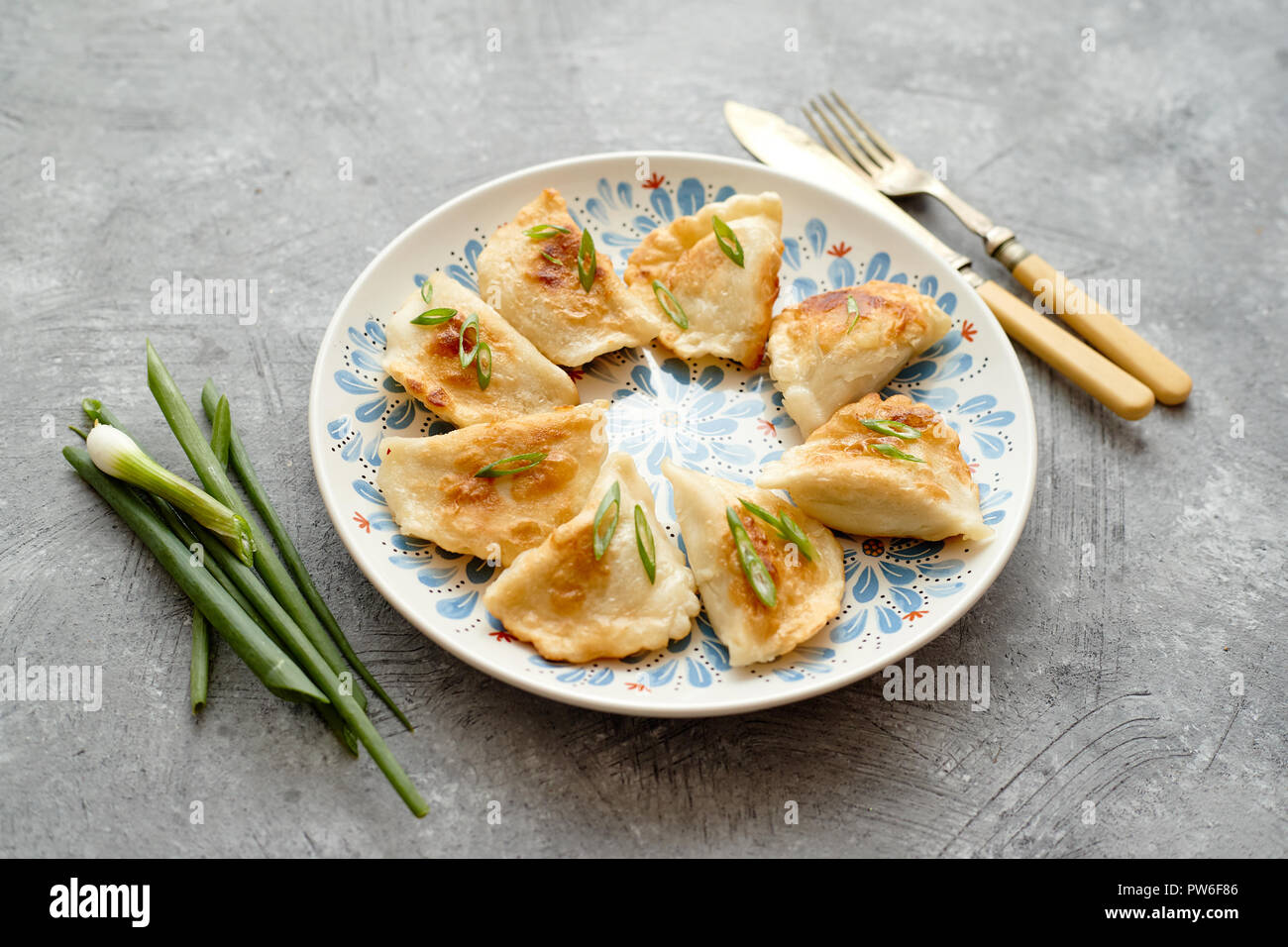Fried dumplings with meat Stock Photo - Alamy