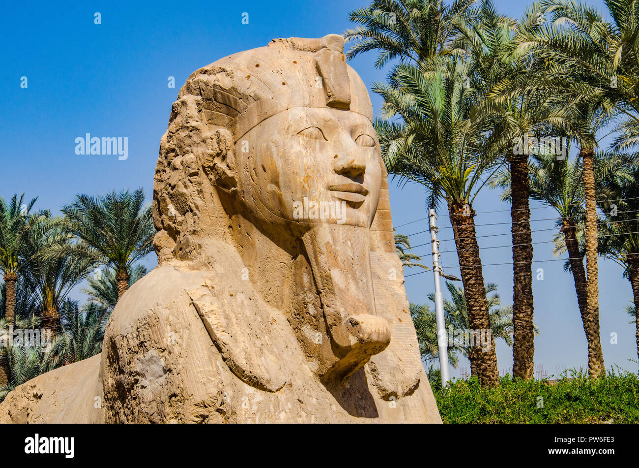 Ancient sphinx hi-res stock photography and images - Alamy