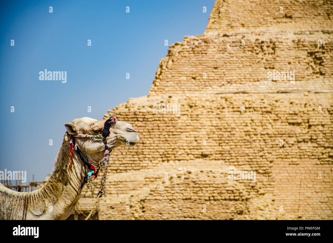 Tourist portrait egypt hi-res stock photography and images - Alamy