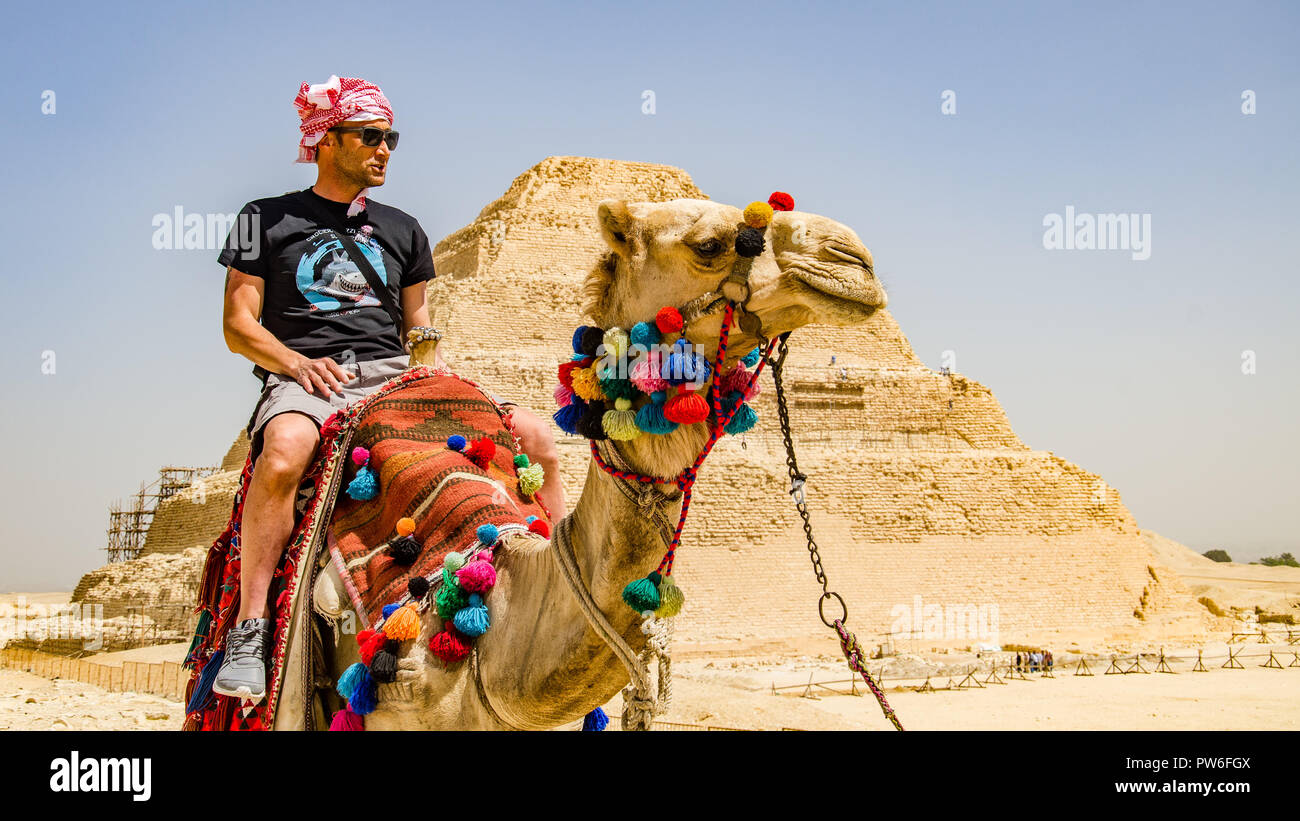 Egyptian camel hi-res stock photography and images - Alamy