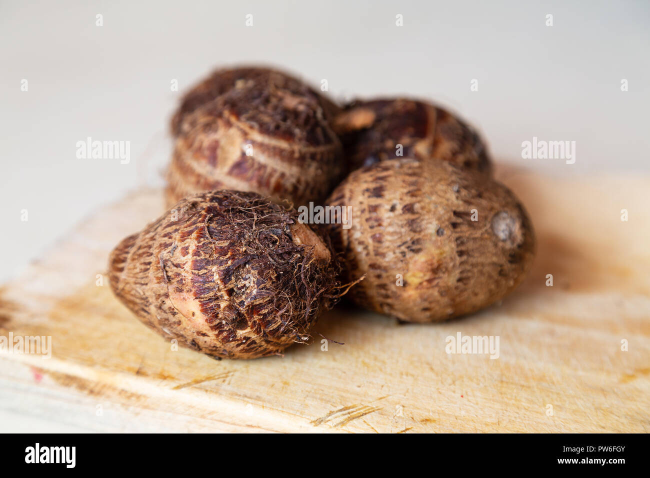 Taro corm hi-res stock photography and images - Alamy