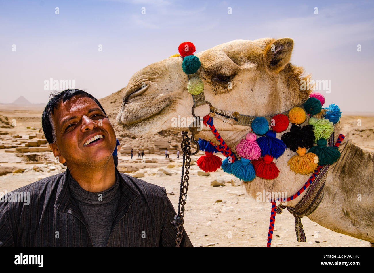 Cairo, Egypt - April 2018. Camel walking Stock Photo - Alamy