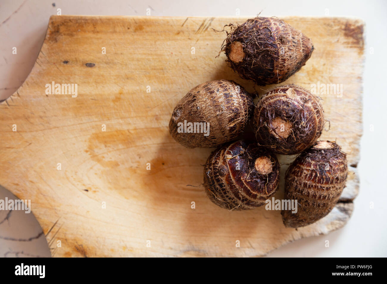 Baby taro corms (Colocasia esculenta), raw on cutting board, Asuncion ...