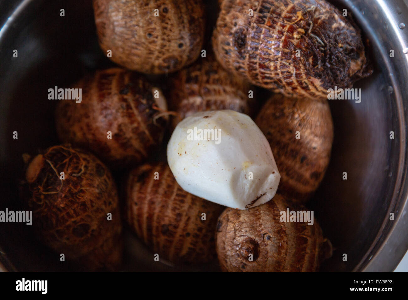 Baby taro corms (Colocasia esculenta), raw, one peeled in bowl ...