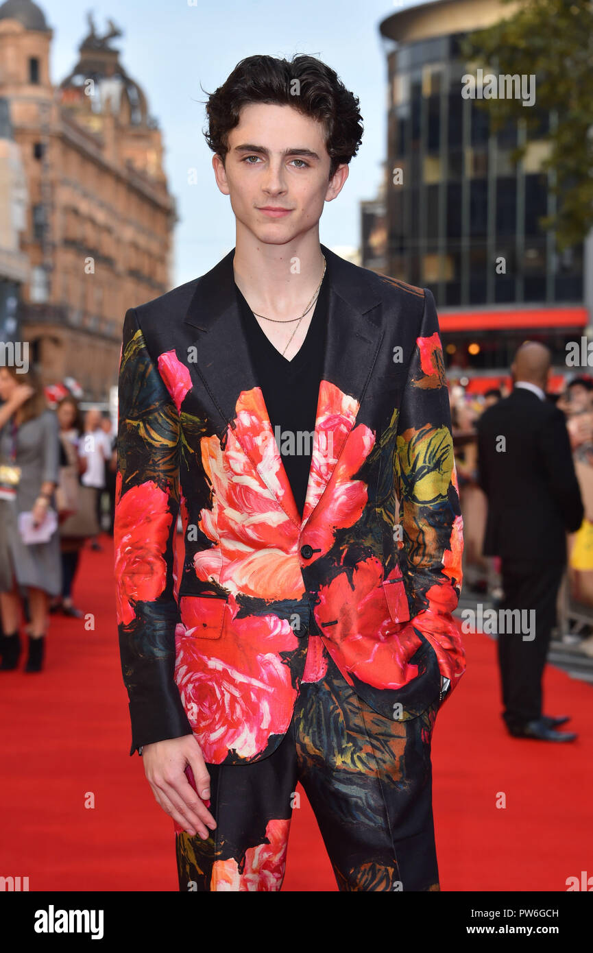 Timothee Chalamet attending the Beautiful Boy Premiere as part of the ...