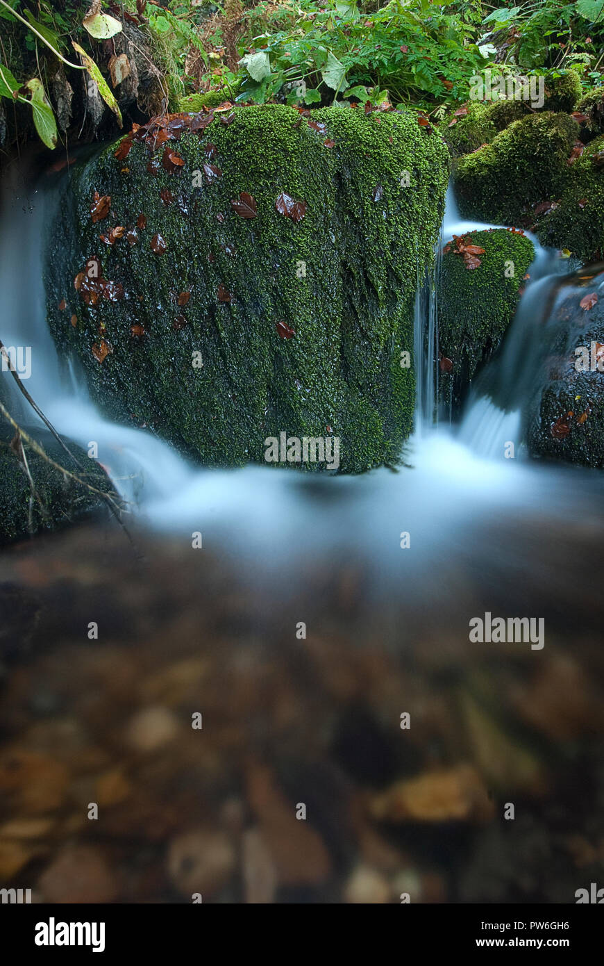 Waterfall with leaves, Moss, Autumn colors Stock Photo - Alamy