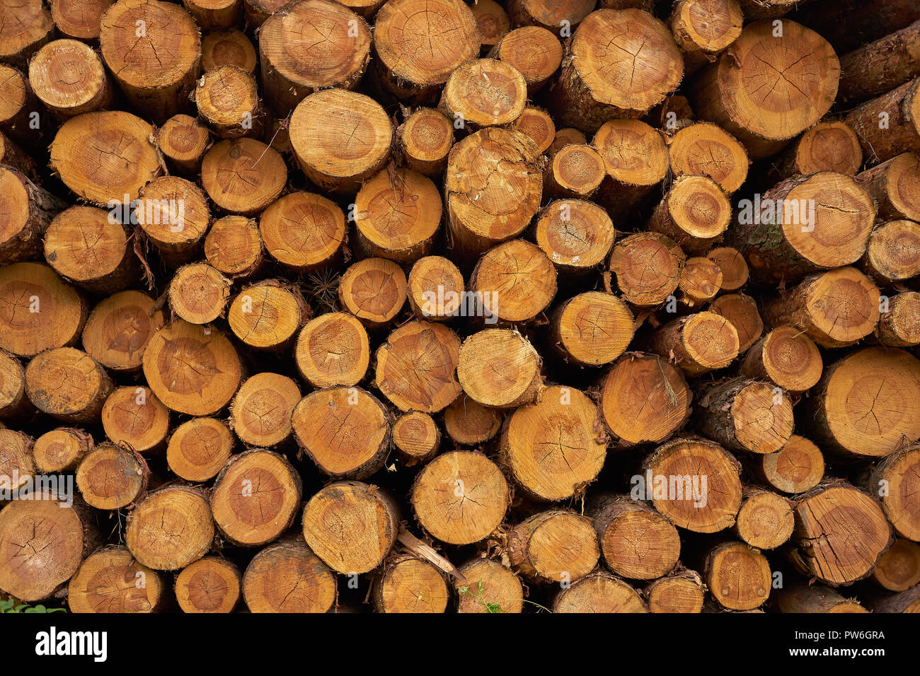 Stacked logs on top of each other hi-res stock photography and images ...
