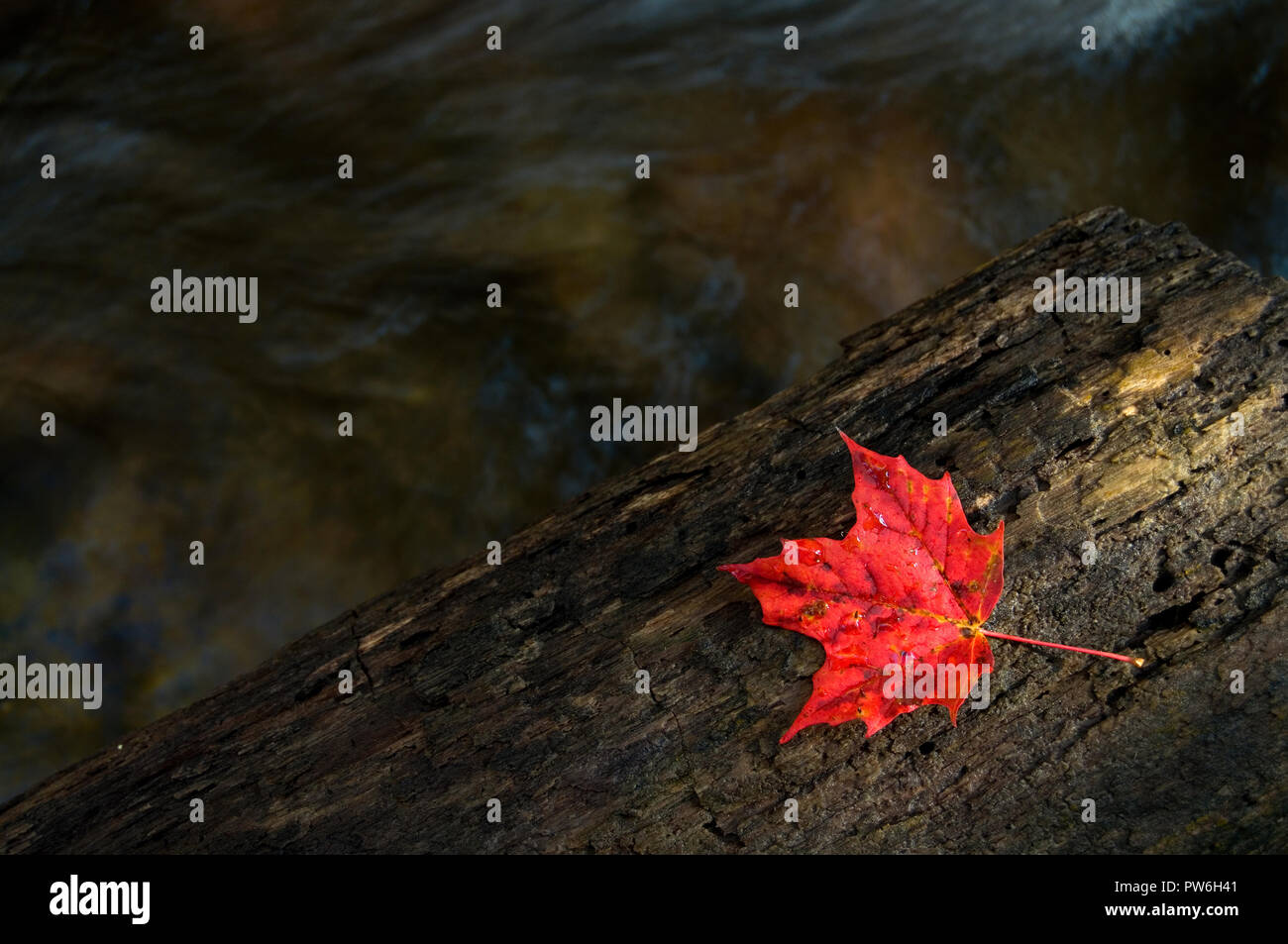 Flow cool waterfall flows hi-res stock photography and images - Alamy