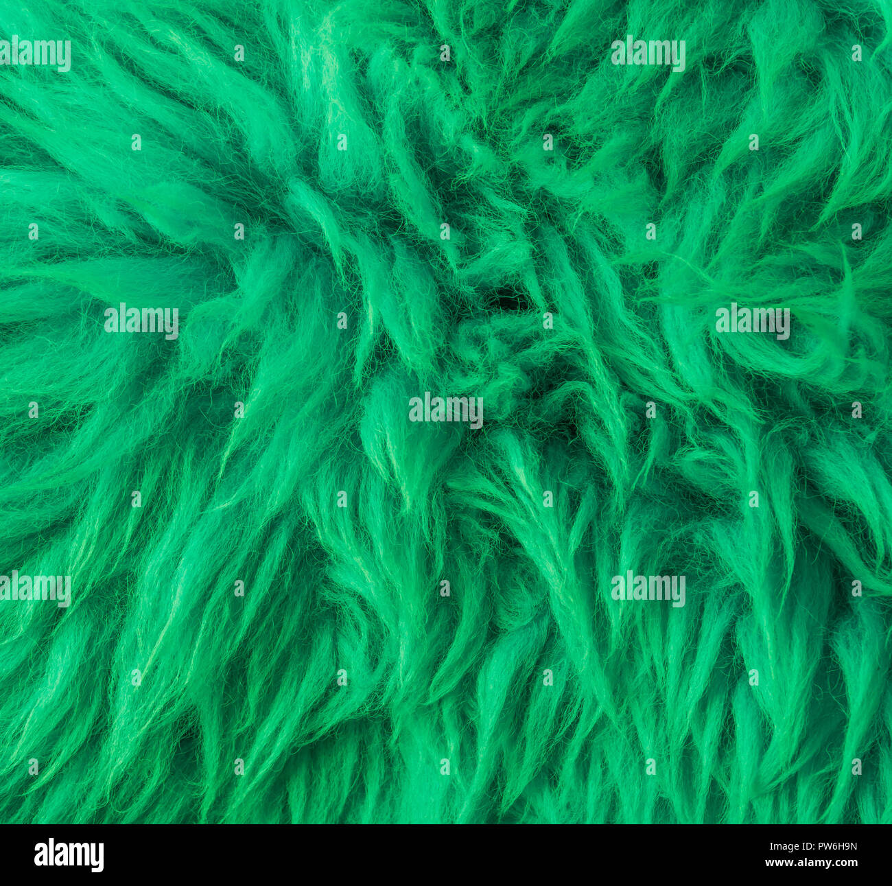 Animal skin hi-res stock photography and images - Alamy