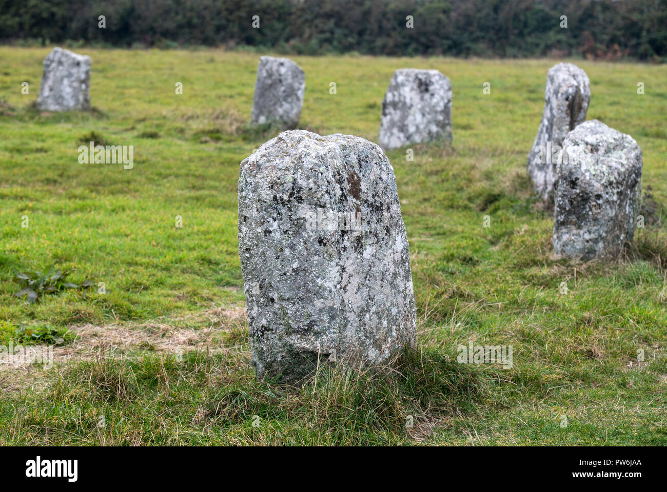 Some of the standing stones that make up the late Neolithic stone ...