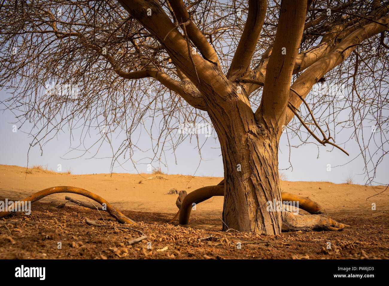 Harshest hi-res stock photography and images - Alamy