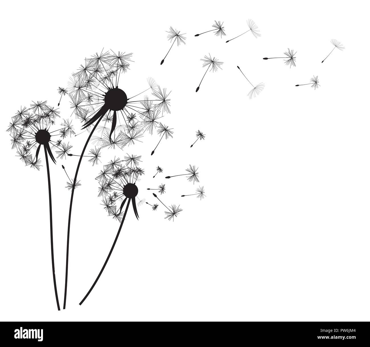 Abstract dandelion background vector illustration Stock Vector Image ...