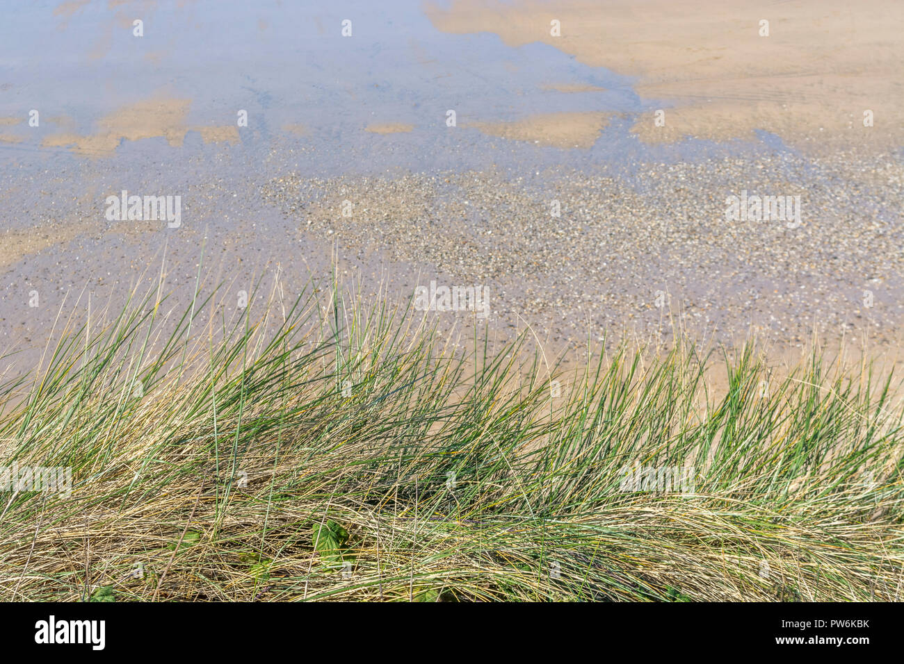 Grasses clifftop hi-res stock photography and images - Alamy
