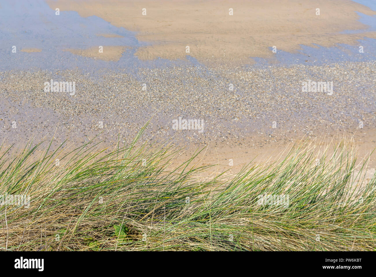 Grasses clifftop hi-res stock photography and images - Alamy