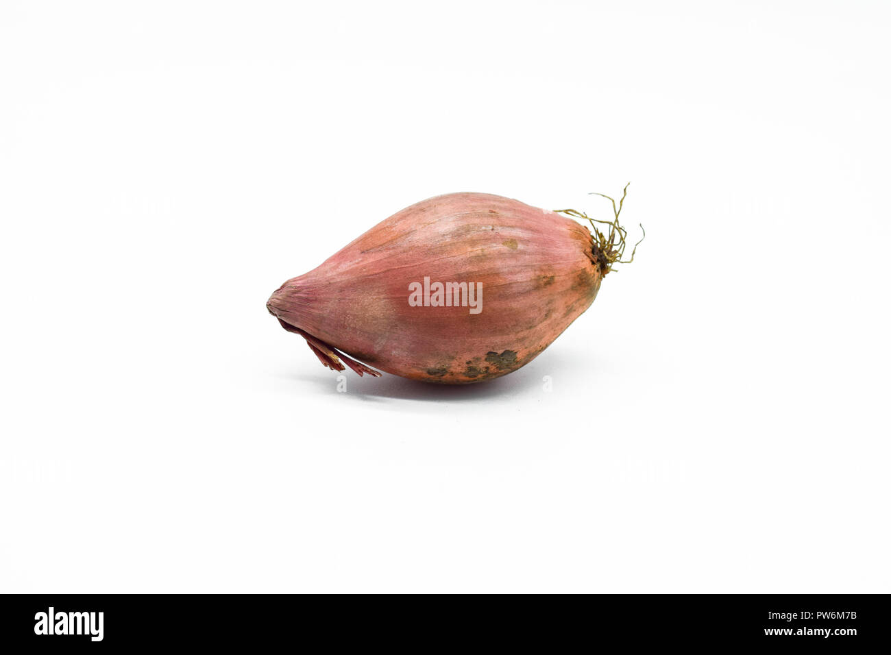 Red shallot isolated on Cut Out Stock Images & Pictures - Alamy