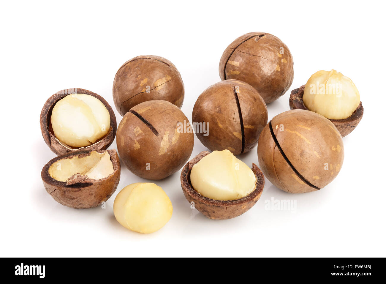 Shelled and unshelled macadamia nuts isolated on white background Stock ...