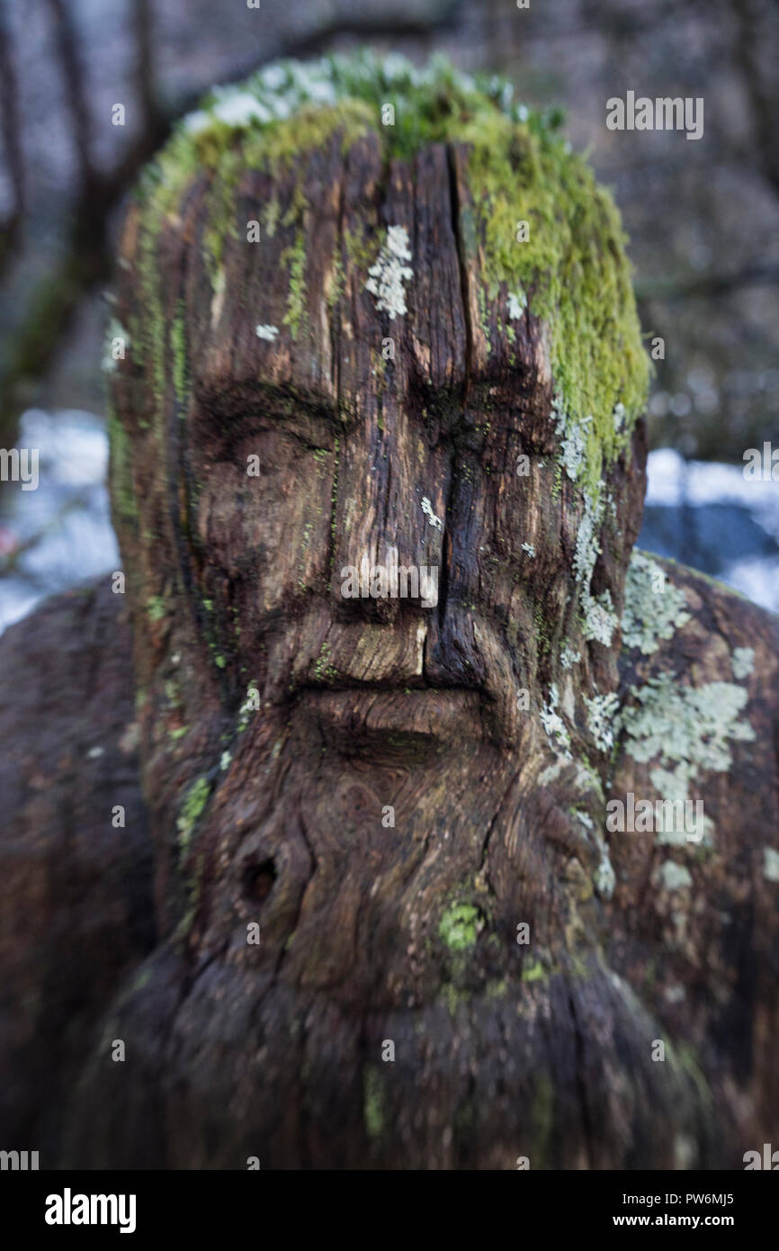 Hidden mans face hi-res stock photography and images - Alamy