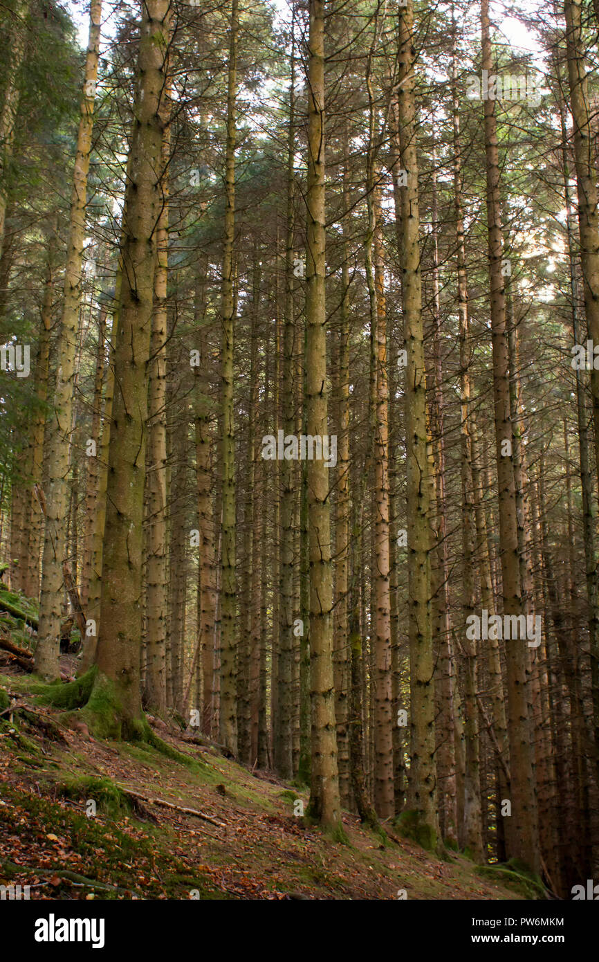 Exploe scotland hi-res stock photography and images - Alamy