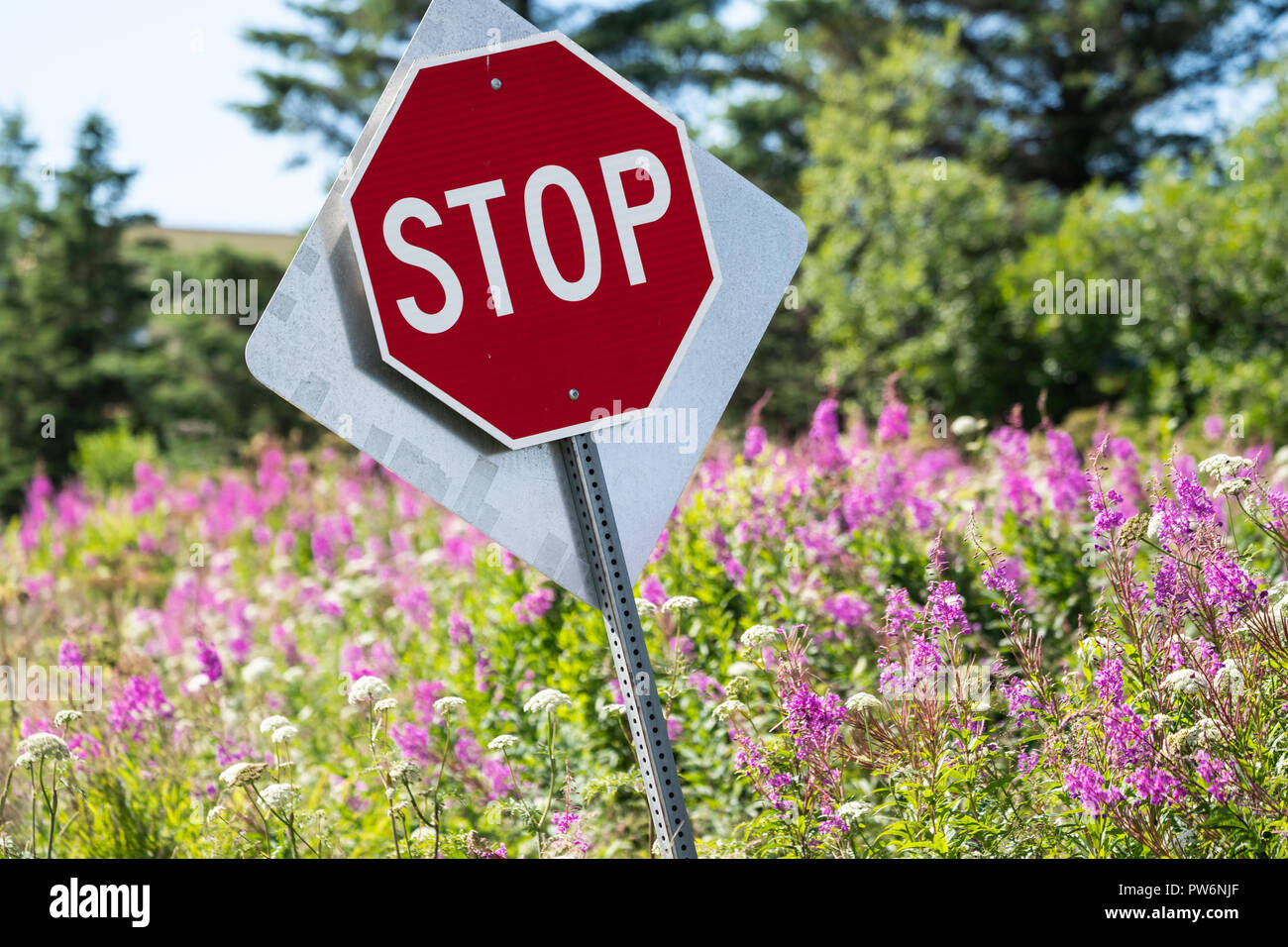 Slanted information hi-res stock photography and images - Alamy