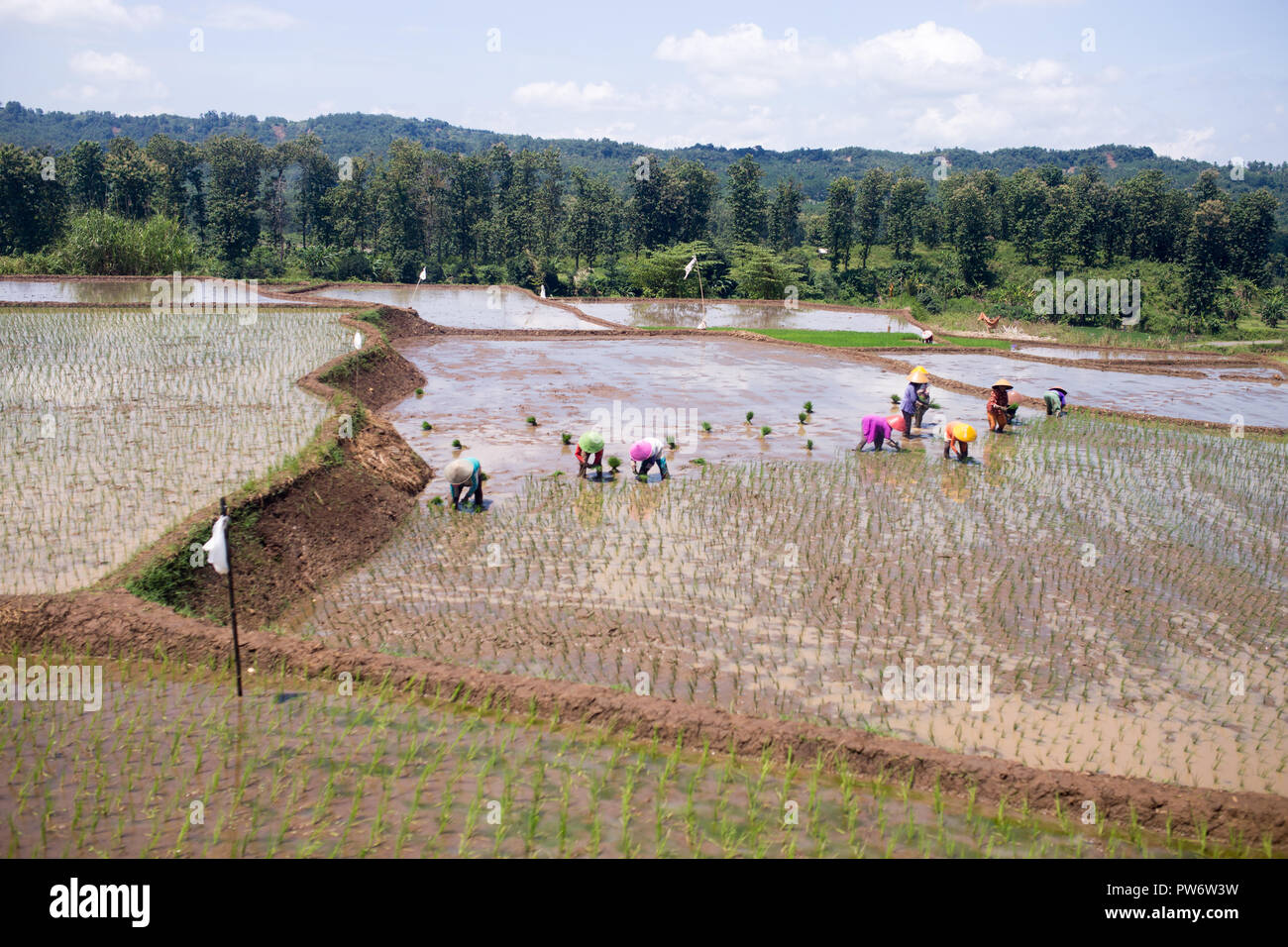 Farmers in indonesia hi-res stock photography and images - Alamy