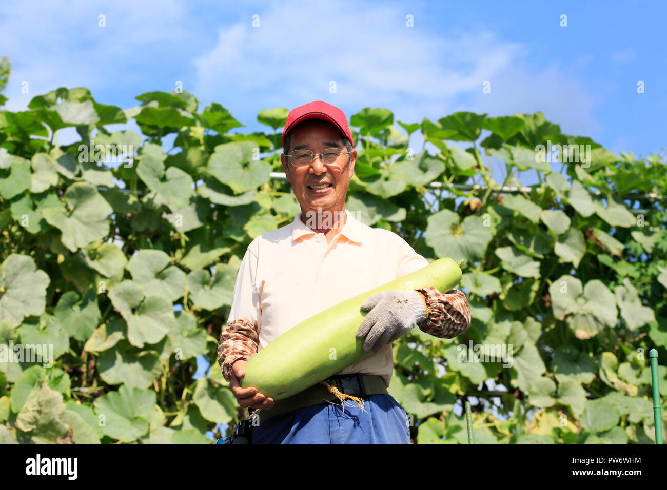 Japan farmer man old hi-res stock photography and images - Alamy