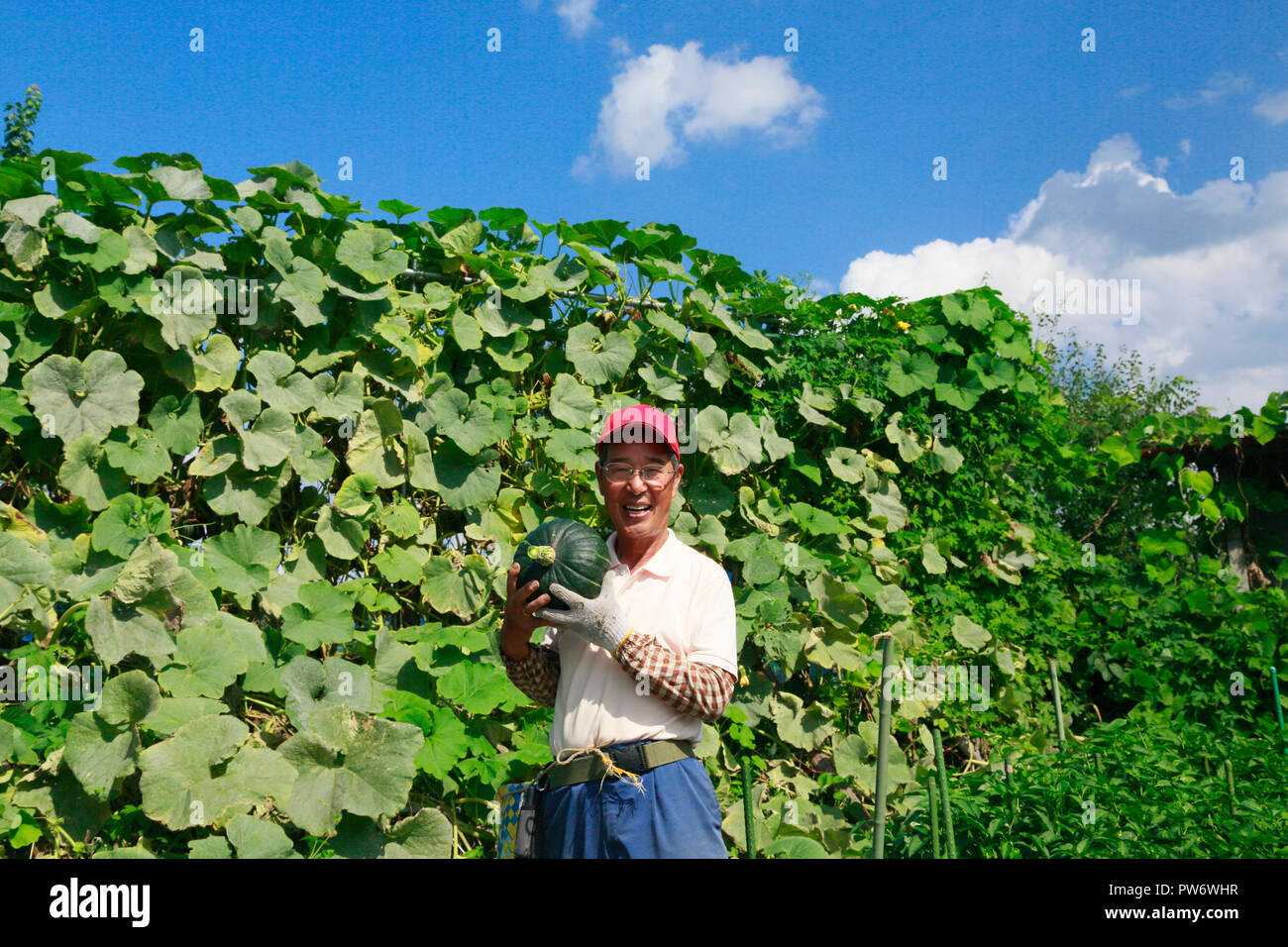 Japanese men in the field Stock Photo - Alamy