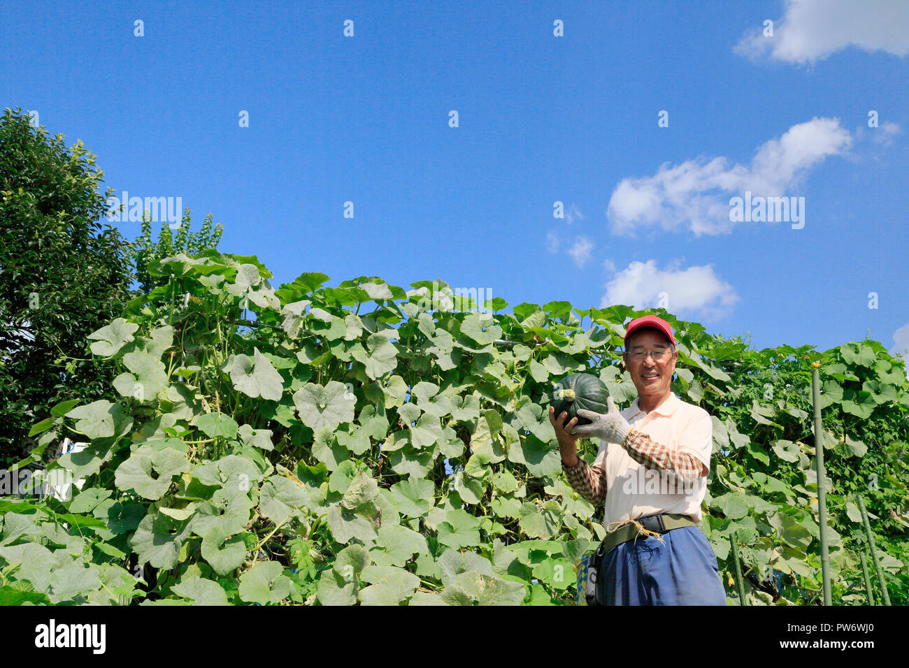 Japanese farmer hi-res stock photography and images - Alamy