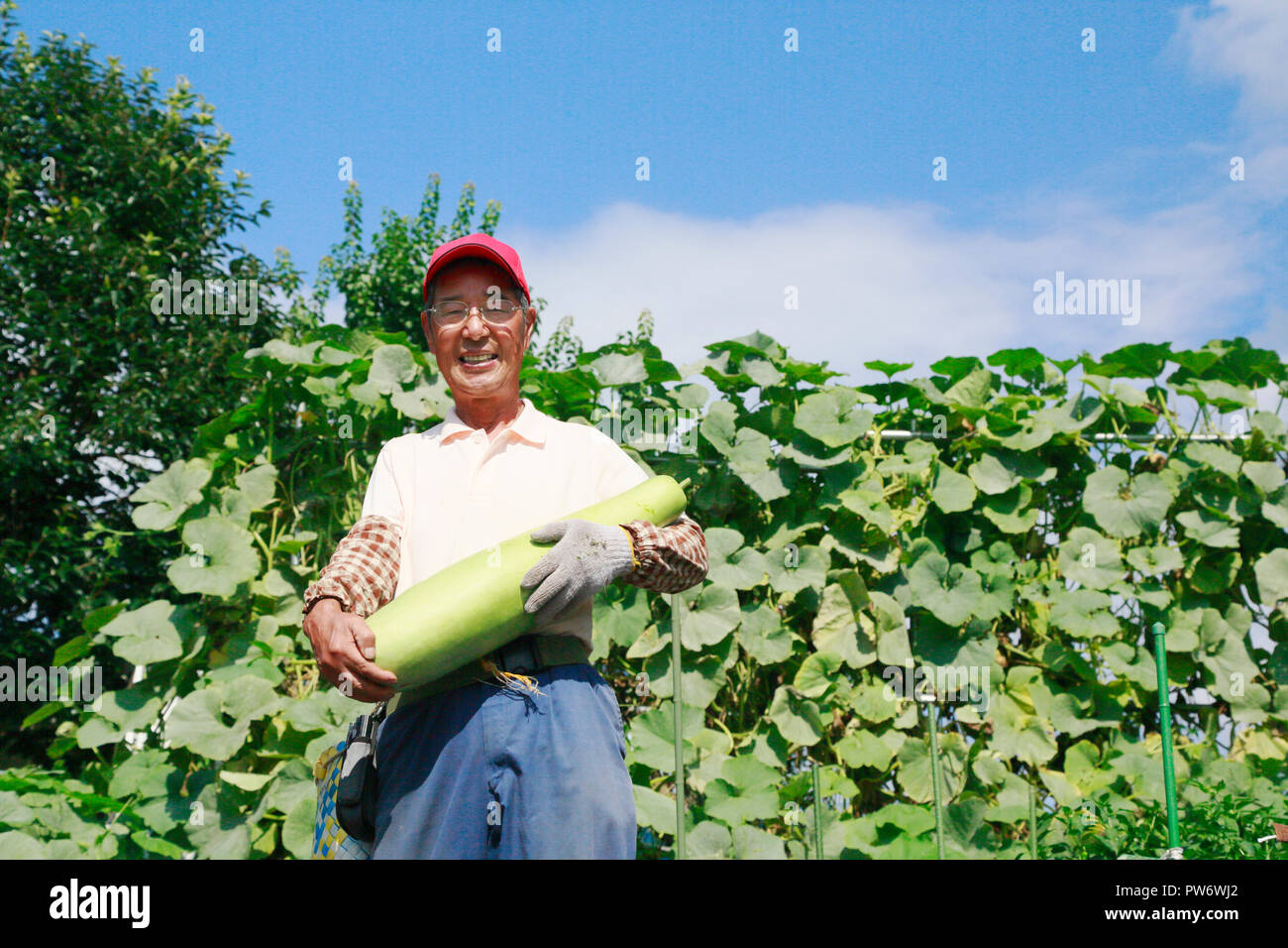 Japanese men in the field Stock Photo - Alamy