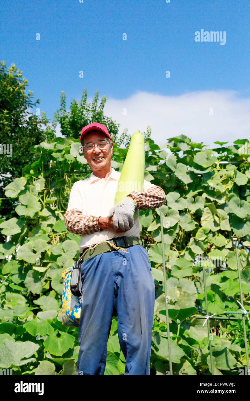 Japanese men in the field Stock Photo - Alamy