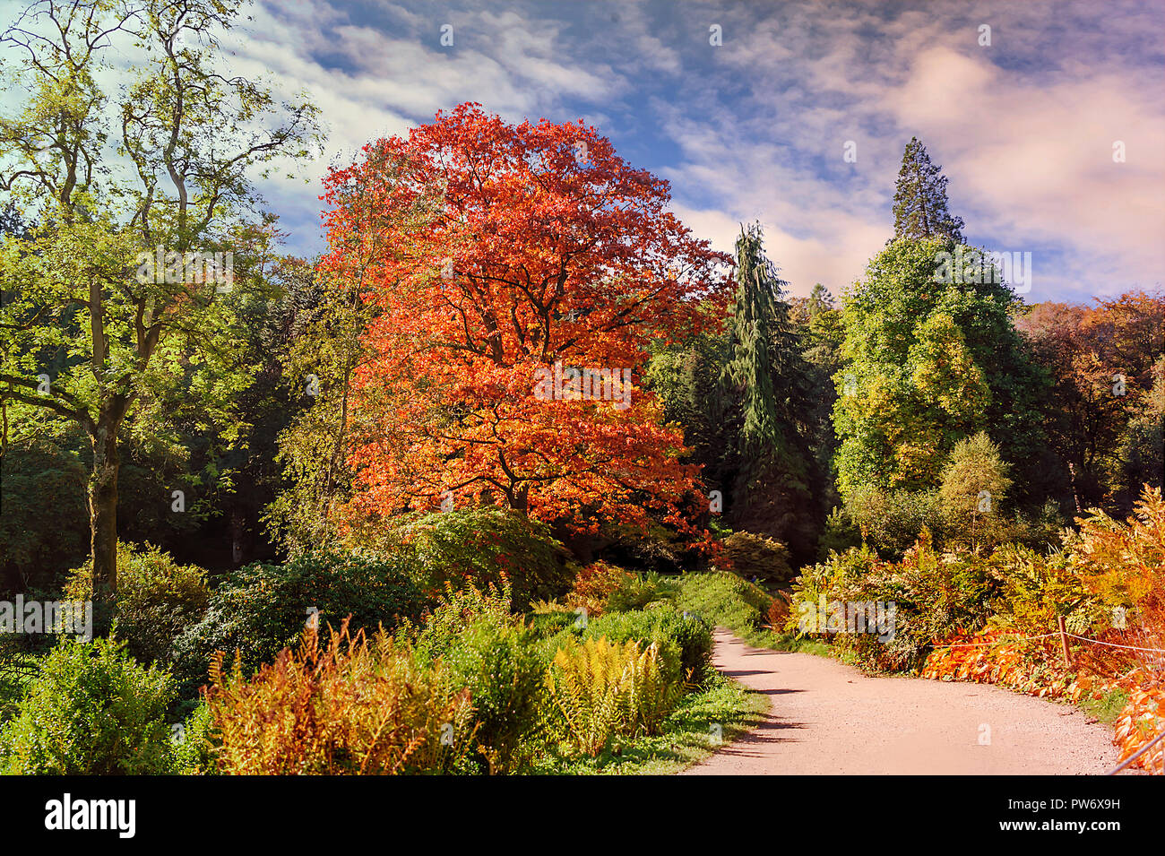 Full of emotions hi-res stock photography and images - Alamy