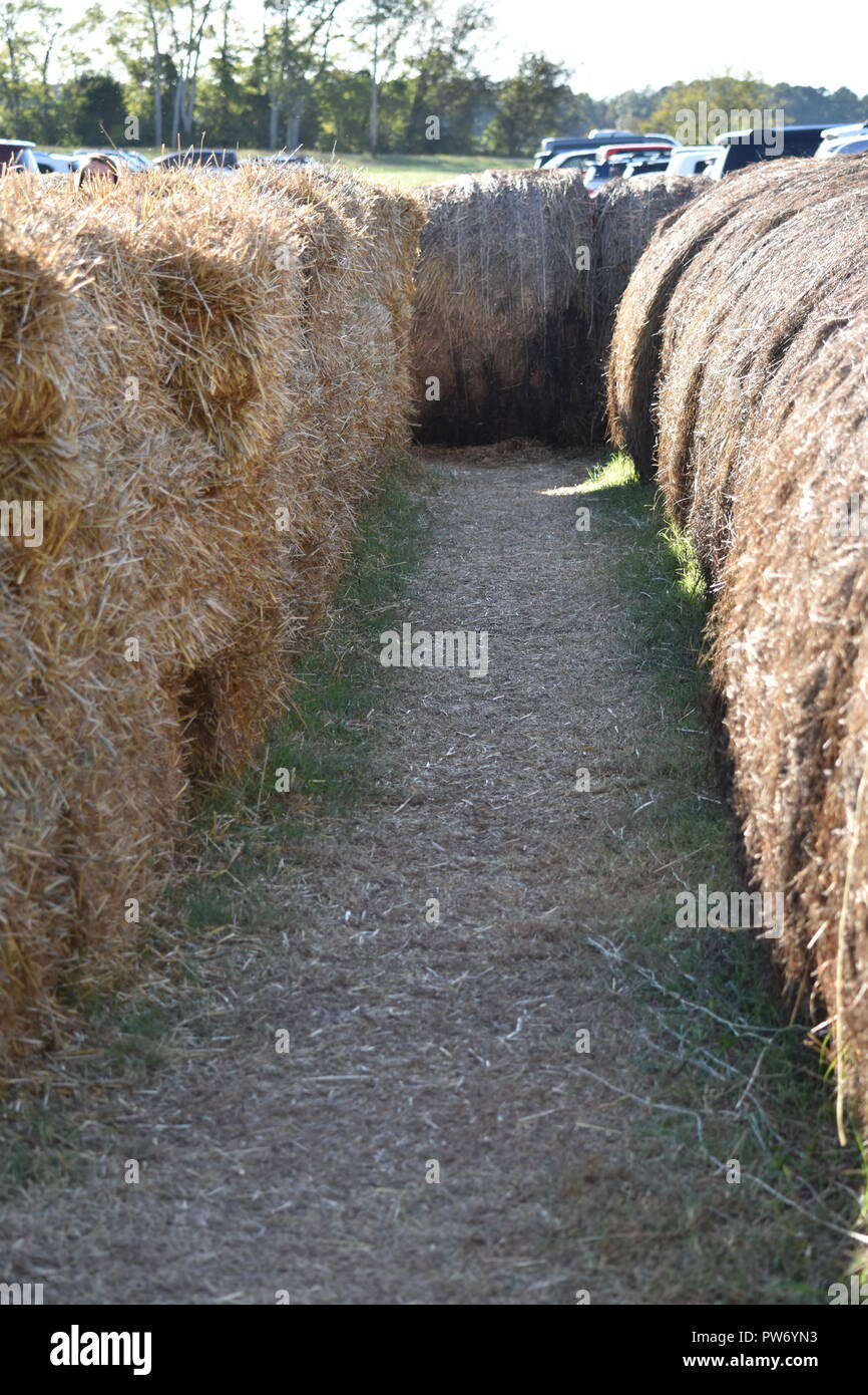 Hay bale maze at Halloween Stock Photo - Alamy
