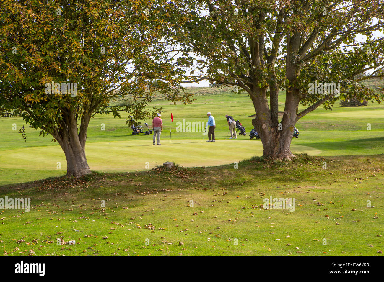 Golfers at golf course hi-res stock photography and images - Alamy