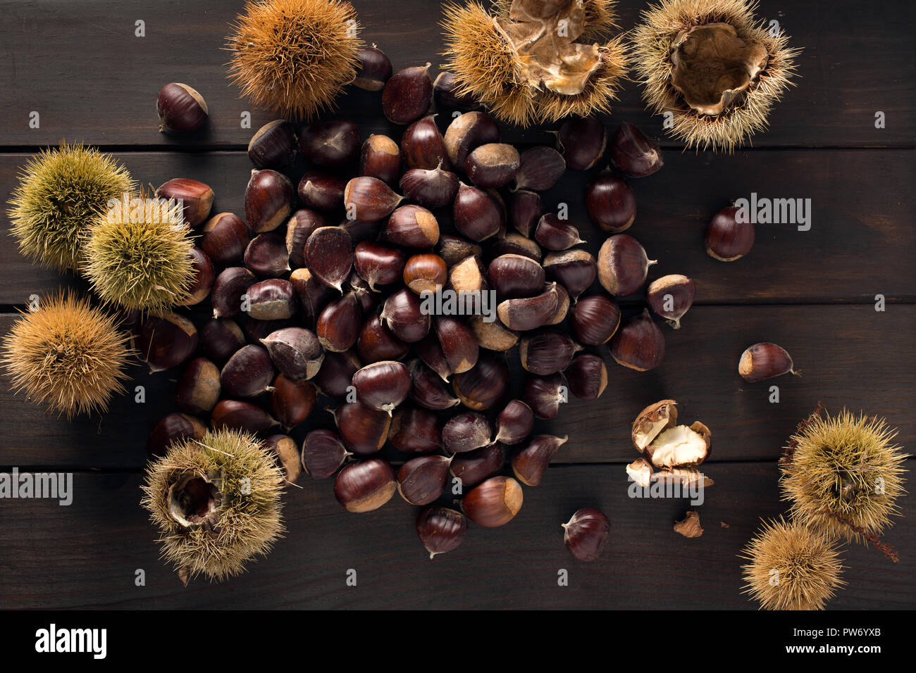 Sweet Chestnut still life. Castanea sativa Edible chestnut. Top view ...