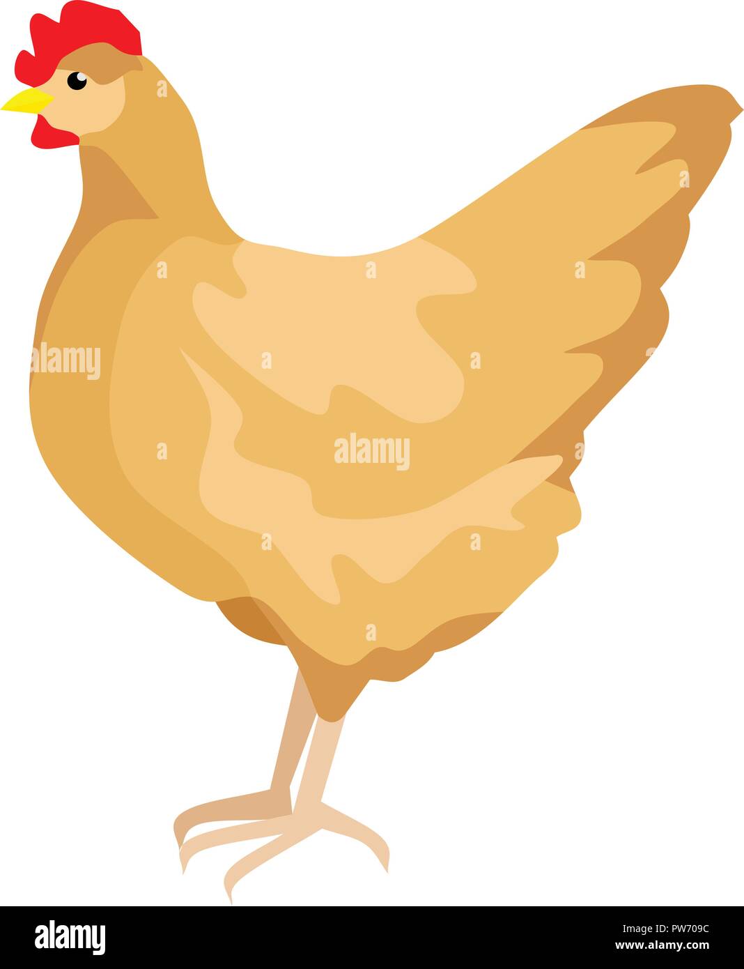 Hen poultry chicken gallus Stock Vector Images - Alamy