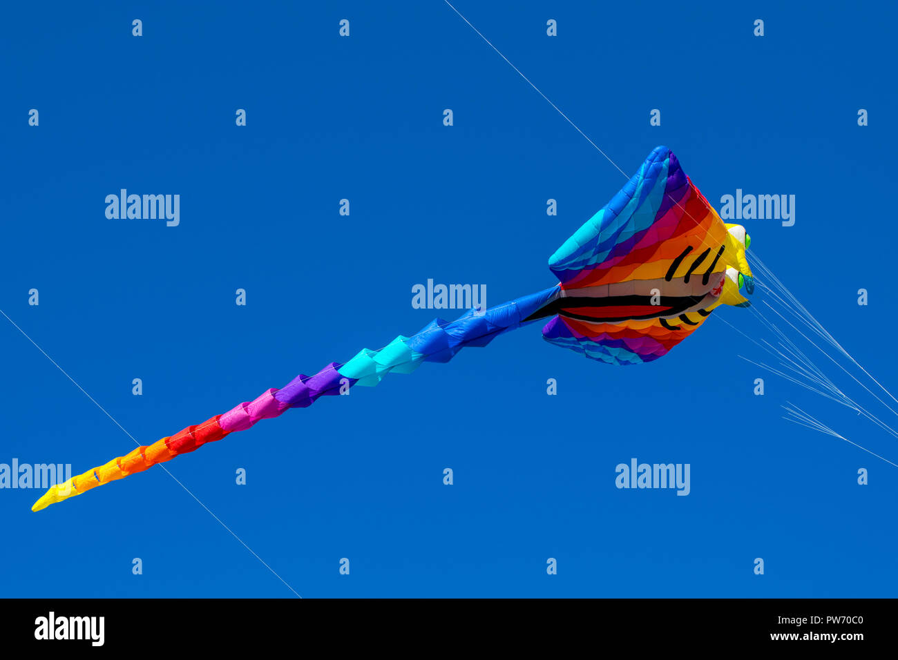 Abstract kite shape hi-res stock photography and images - Alamy