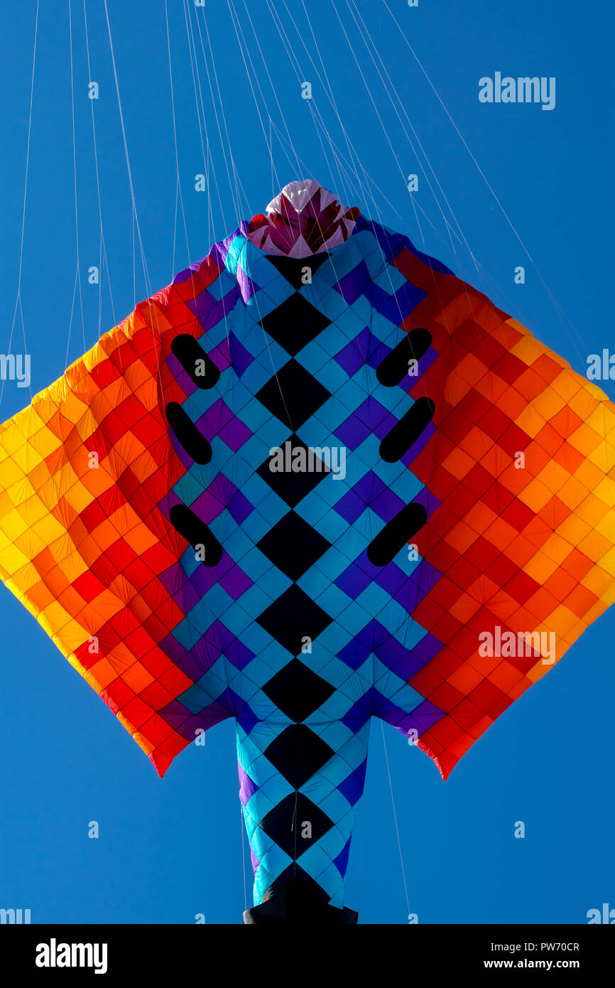 bright, rainbow colors, geometric patterns of kites on the background ...
