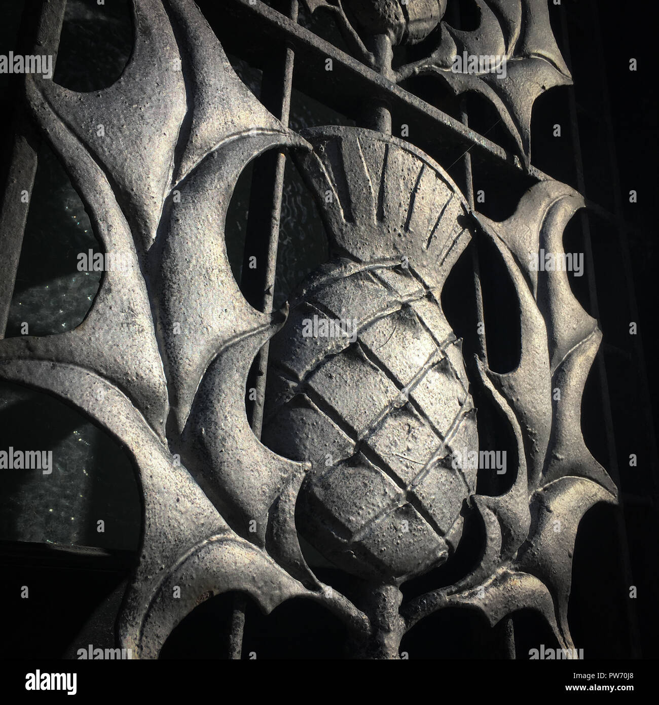 Bank thistle hi-res stock photography and images - Alamy