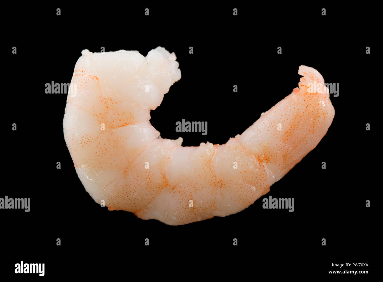 A single prawn from a packet of mixed seafood bought from a supermarket ...