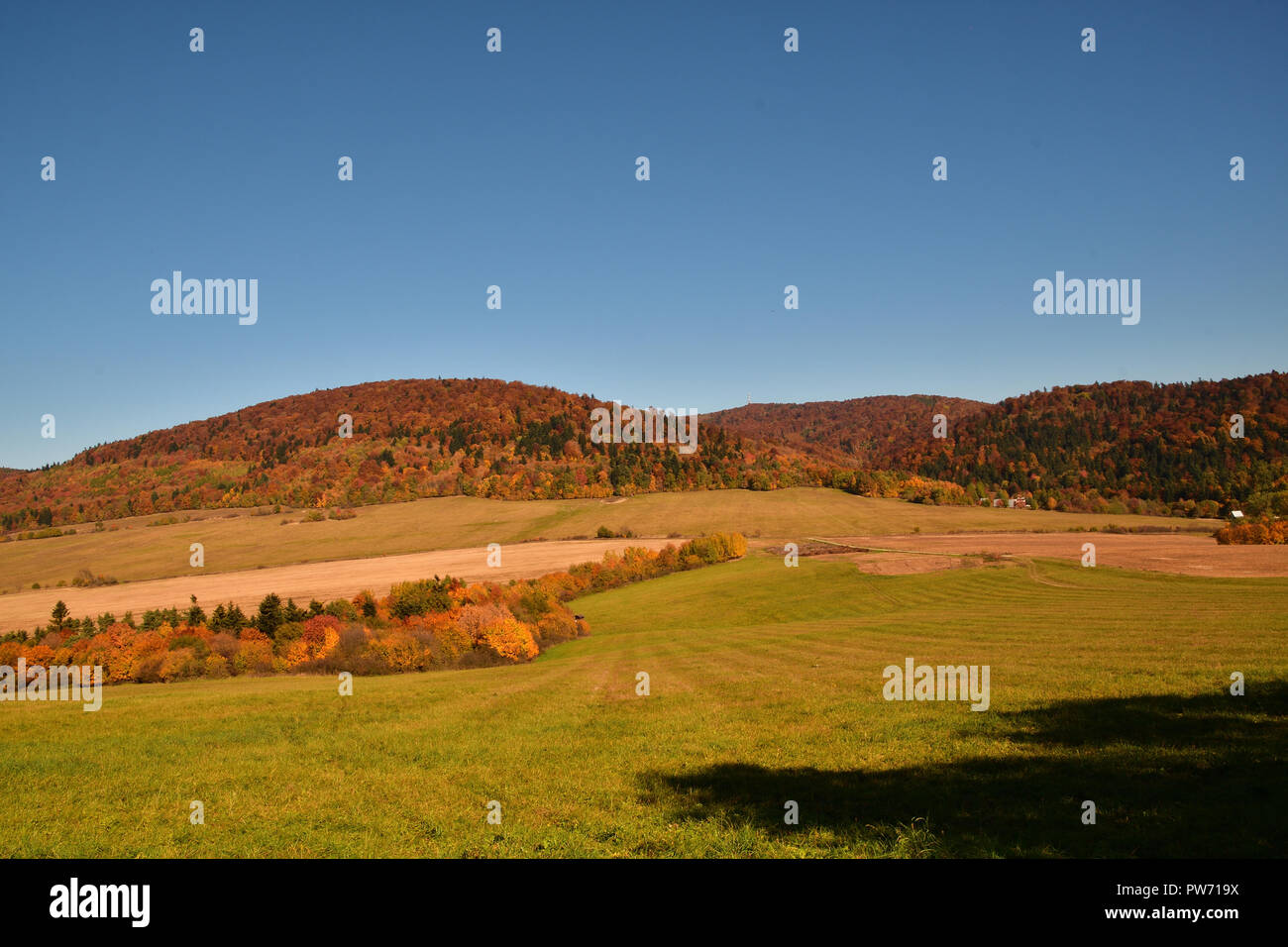 beautiful colorful autumn view from above beautiful colorful autumn ...